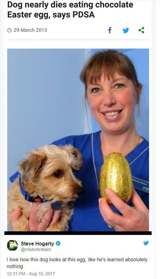 Id do the same if I was the dog... - 9GAG