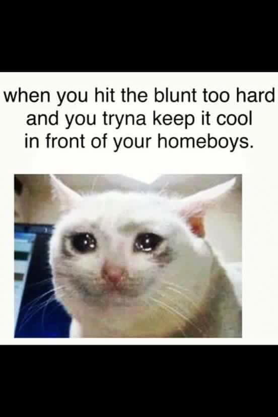 Act normal. Try not to die. - 9GAG