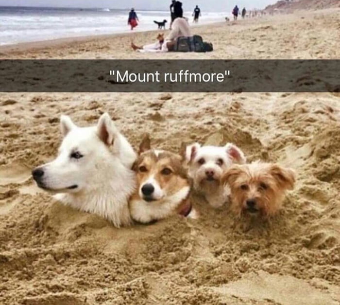 That’s Ruff - 9GAG