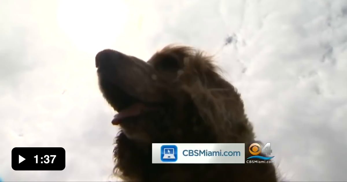 Here is the follow-up story - 9GAG