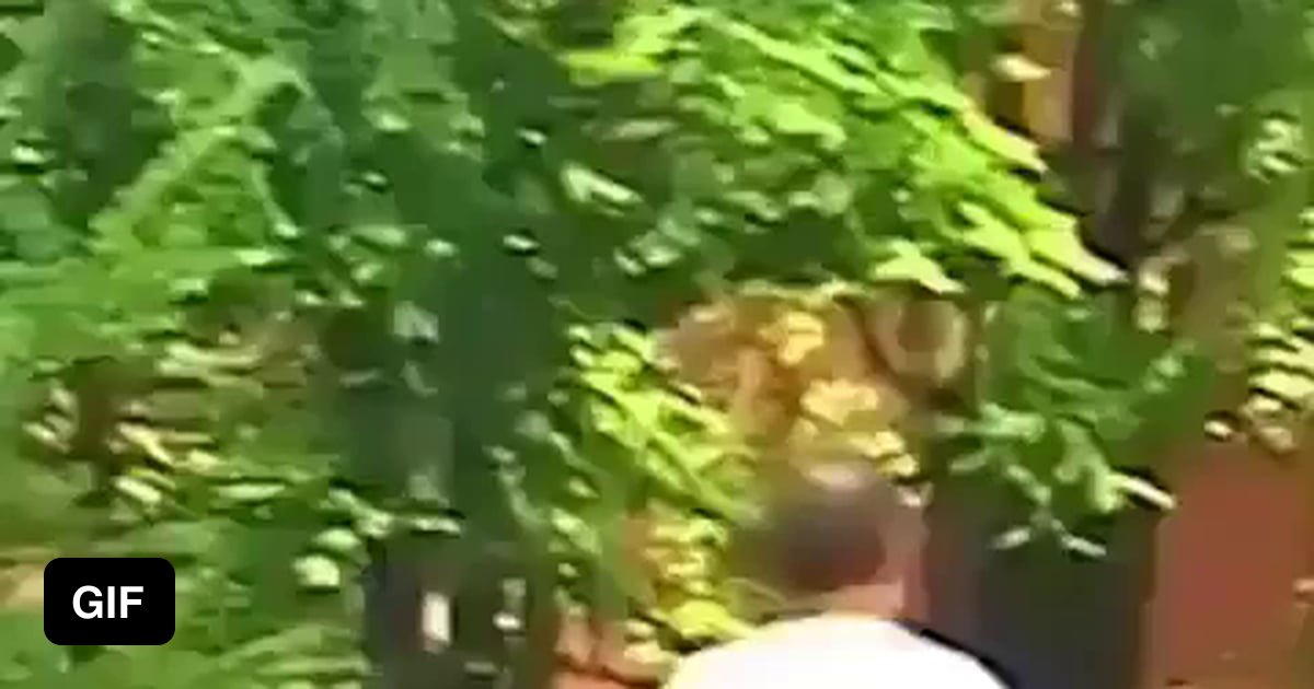 Well this backfired real quick - 9GAG