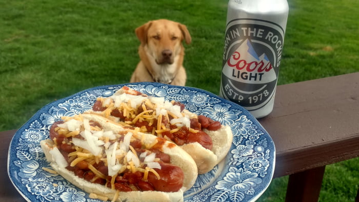 Dogs, Bread, Cheese. - 9GAG