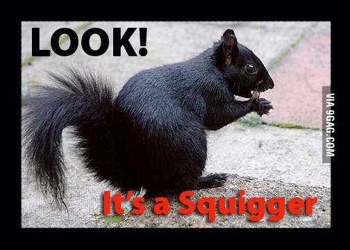 Look its a squigger!! - 9GAG