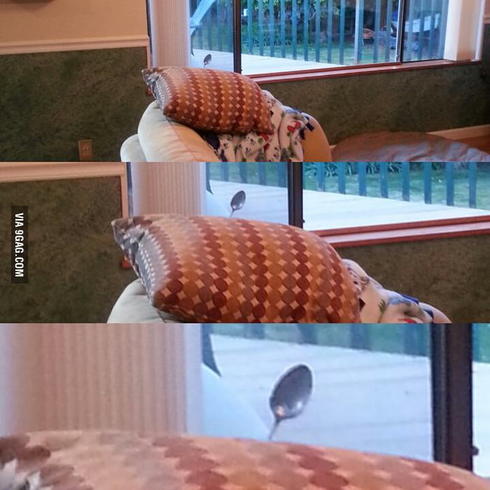 Spoon... - 9GAG