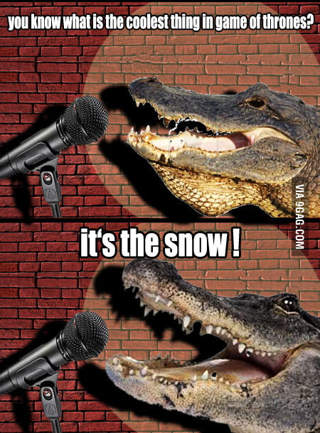 Bad stand-up alligator - 9GAG