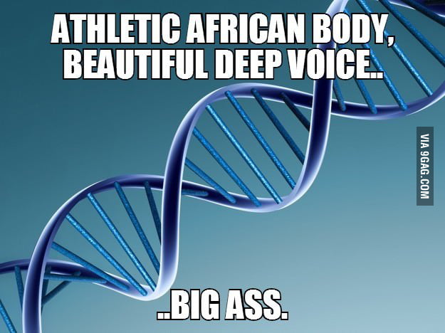 Damnit DNA, you scumbag you... - 9GAG