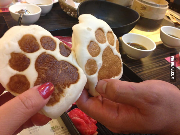 Paw bun! - 9GAG