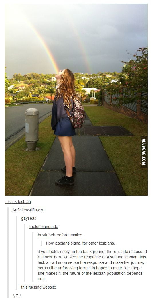 Tumblr - Full of normal people - 9GAG