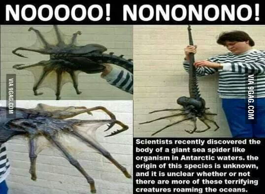 All abord the NOPE train - 9GAG