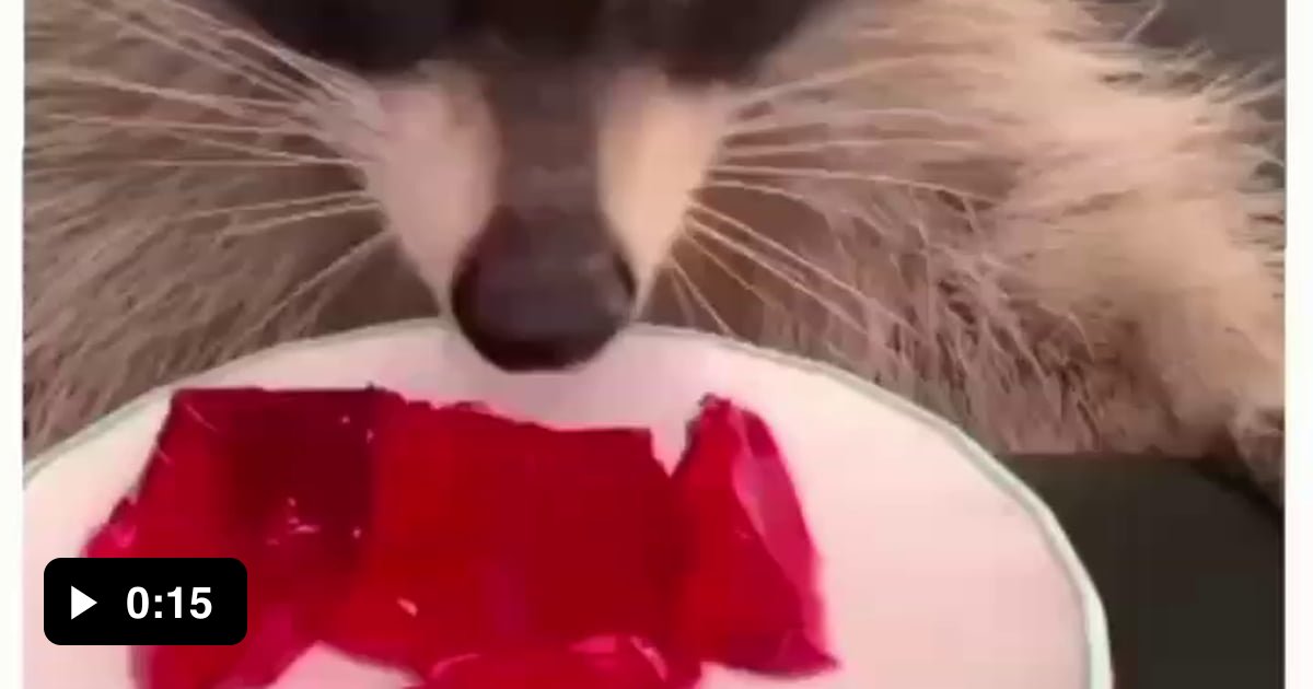 Pat Jello not War - 9GAG