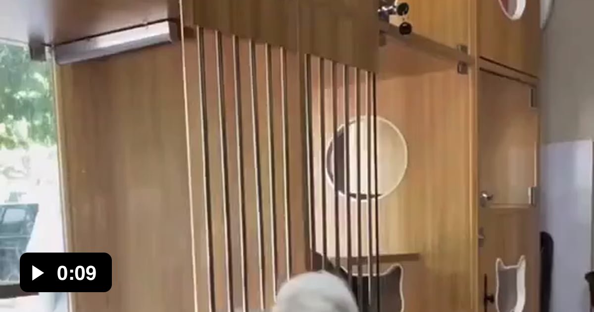 Aiight, ama head out - 9GAG