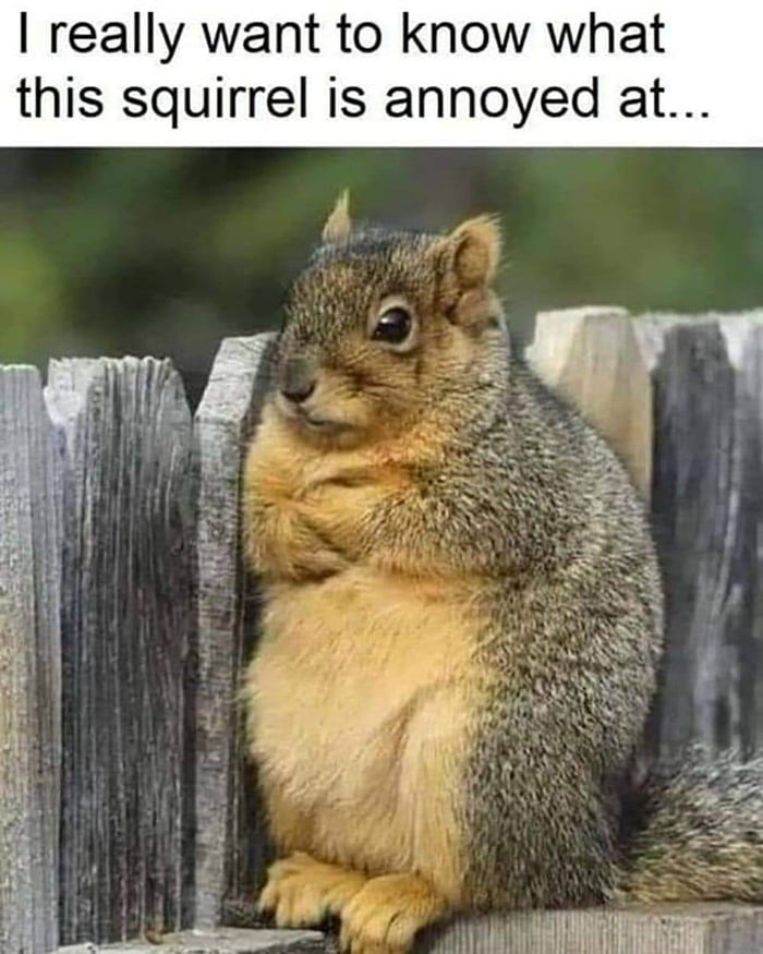 Did she leave her wallet after an hour long drive? - 9GAG