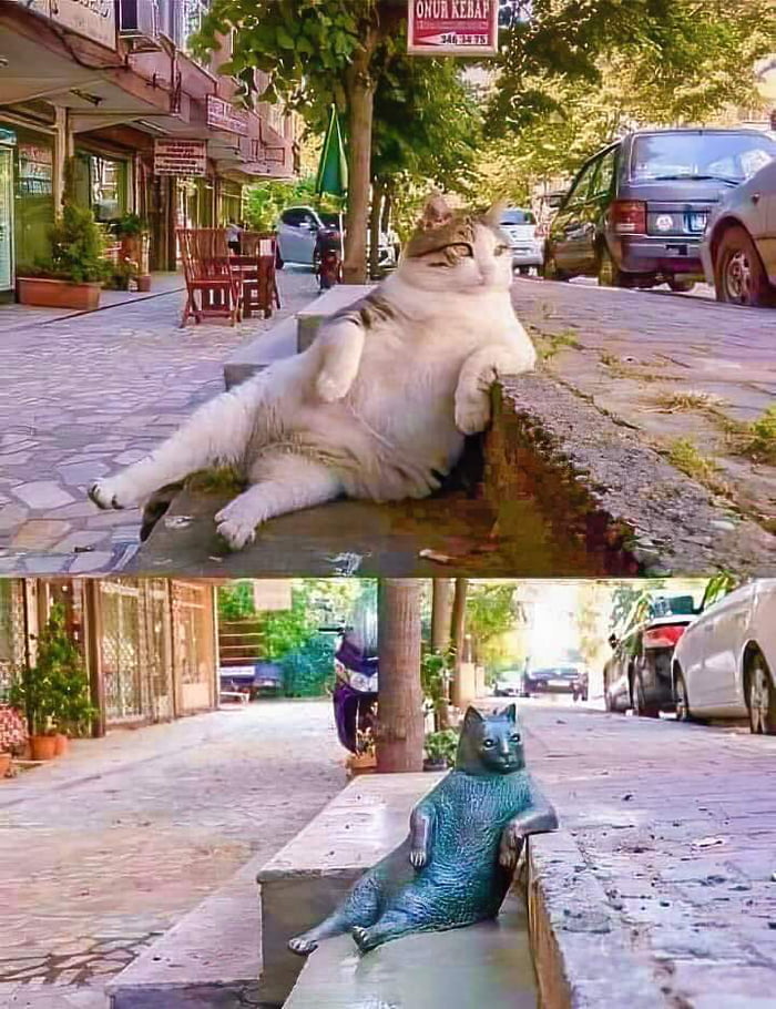 A statue in Istanbul to honor Tombili, a famous stray cat. He used to ...