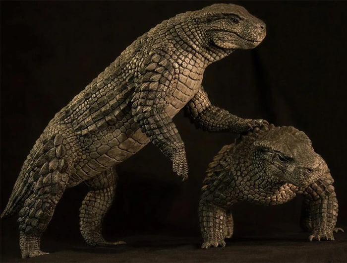 Modern crocs all look pretty similar, but their extinct relatives were ...