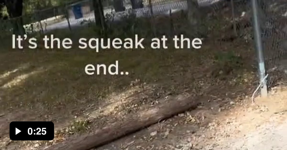 Squeak - 9GAG