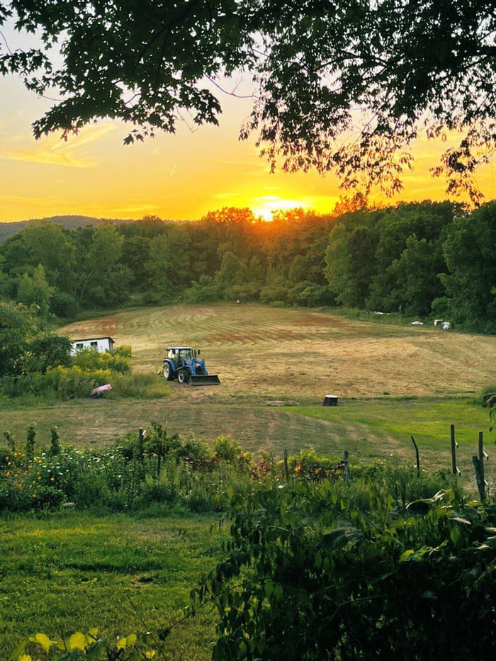 Cozy farm field, sit and enjoy the warm sun for a while - 9GAG