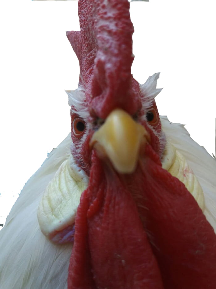 I've heard you are sad - 9GAG