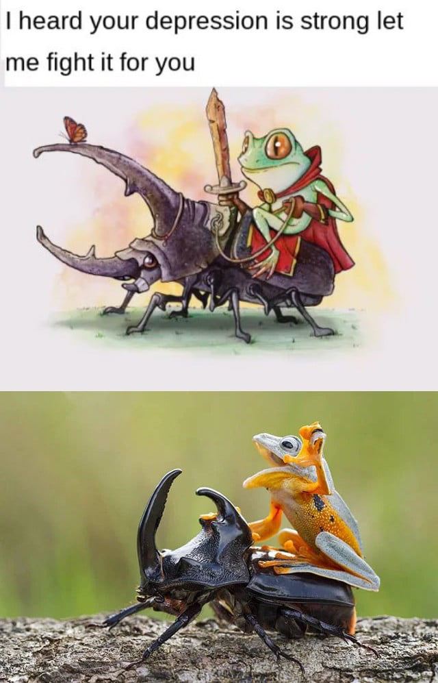 Pleaseeeeeeeee!!! Frog wants to fight for you!!!! - 9GAG