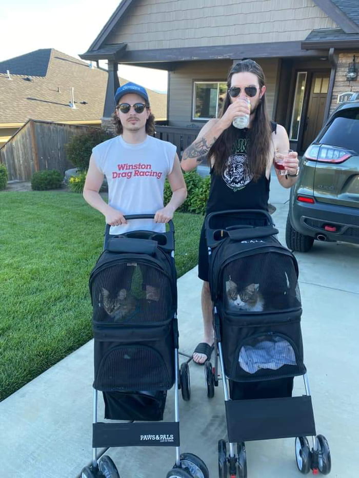 Just two guys walking their cats in strollers - 9GAG