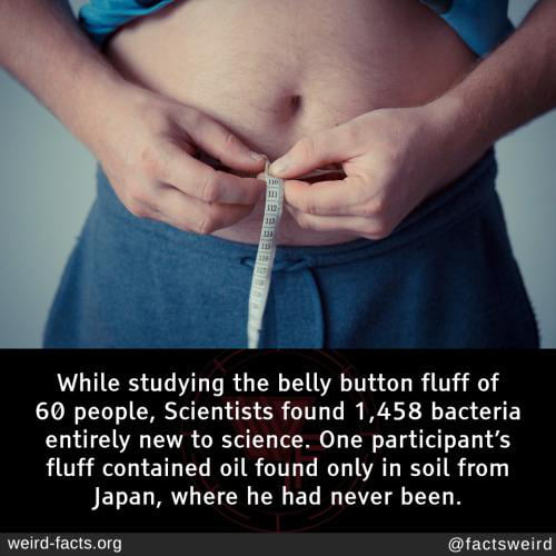 Belly button research. - 9GAG
