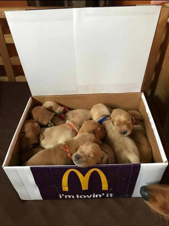 Have never thought Mc makes hot dogs - 9GAG