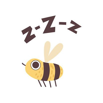 Russian bee - 9GAG