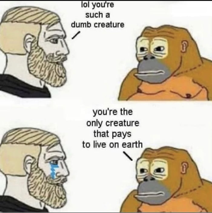 The Ape is right! - 9GAG