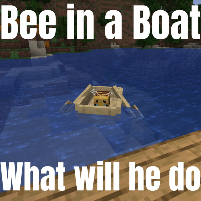 Bee in da boat - 9GAG