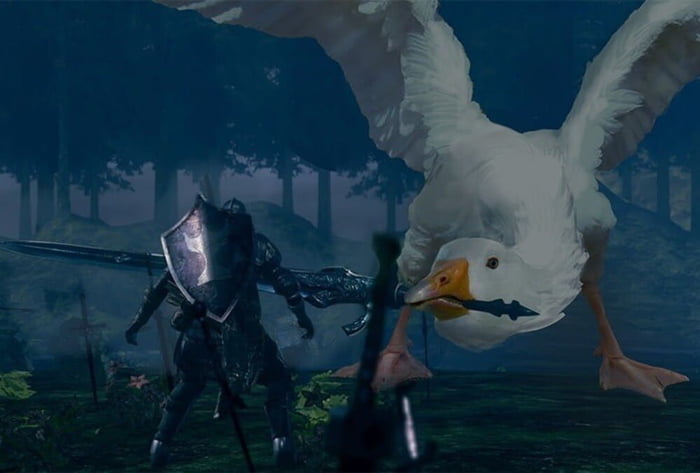Goose, Master of the sword, protector of the abyss. - 9GAG