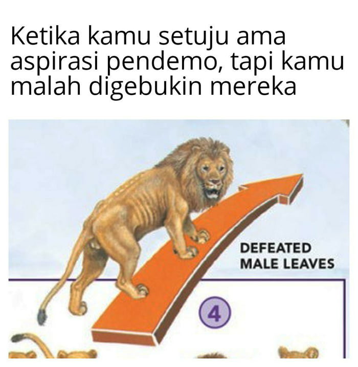 Kayak nonton Popeye. Di-uppercut sampe celananya copot. - 9GAG