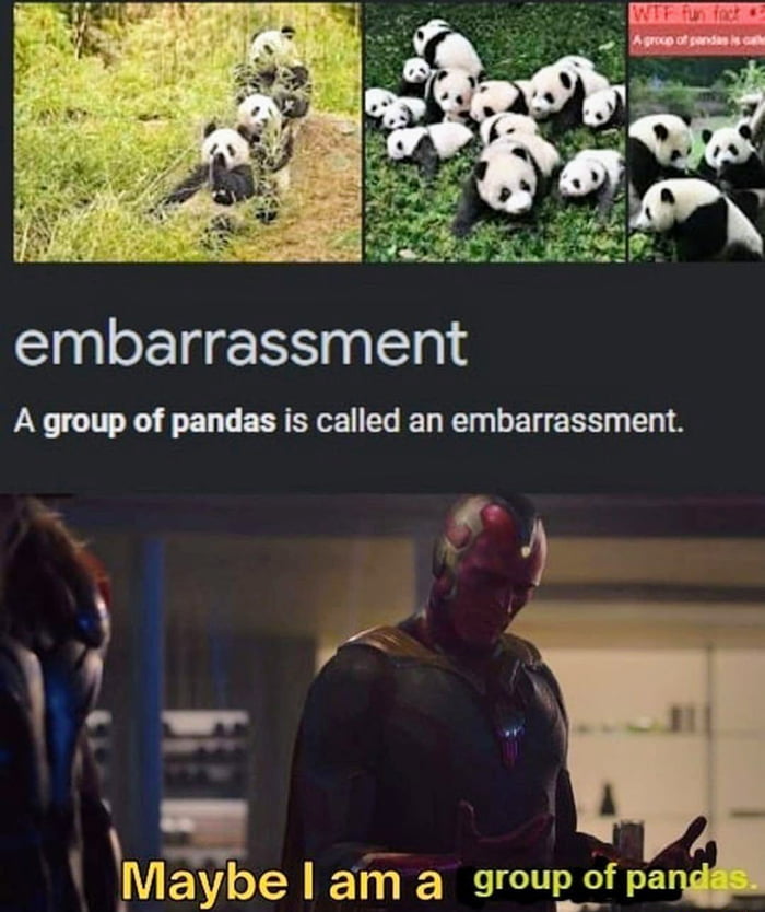 I thought it was called a Pandemonium - 9GAG