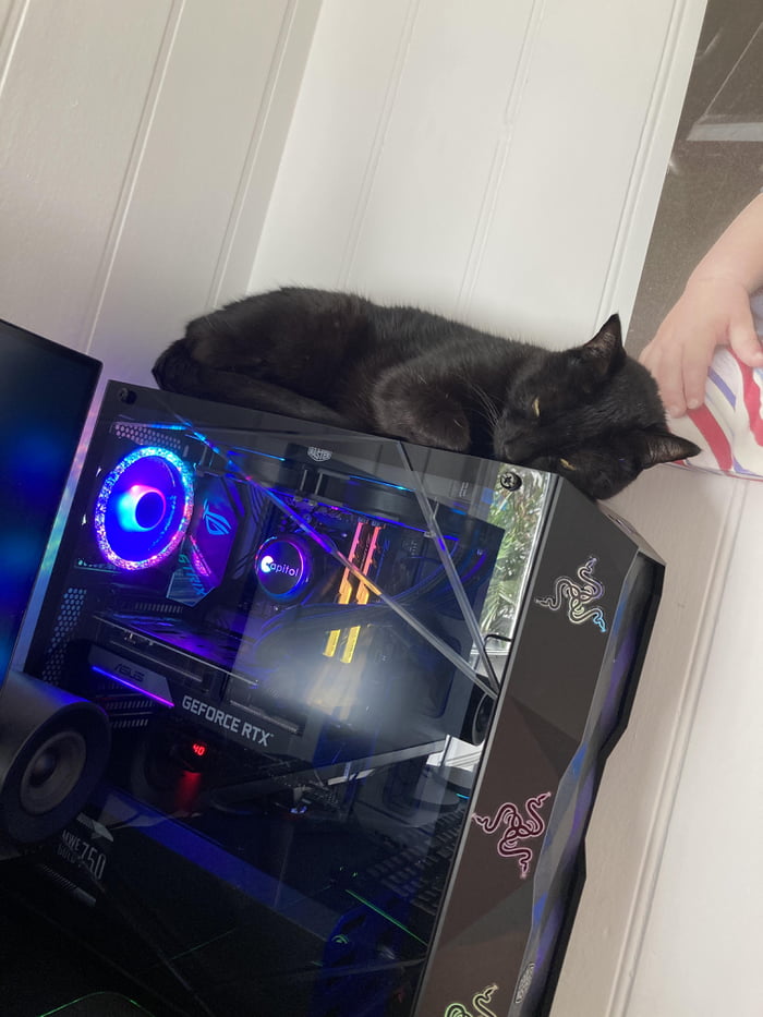 First build yay (cat approves) - 9GAG