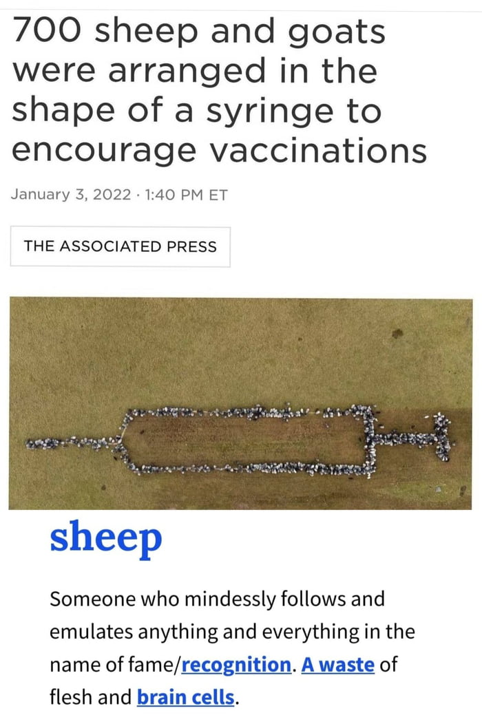 What is the definition of sheeple? - 9GAG