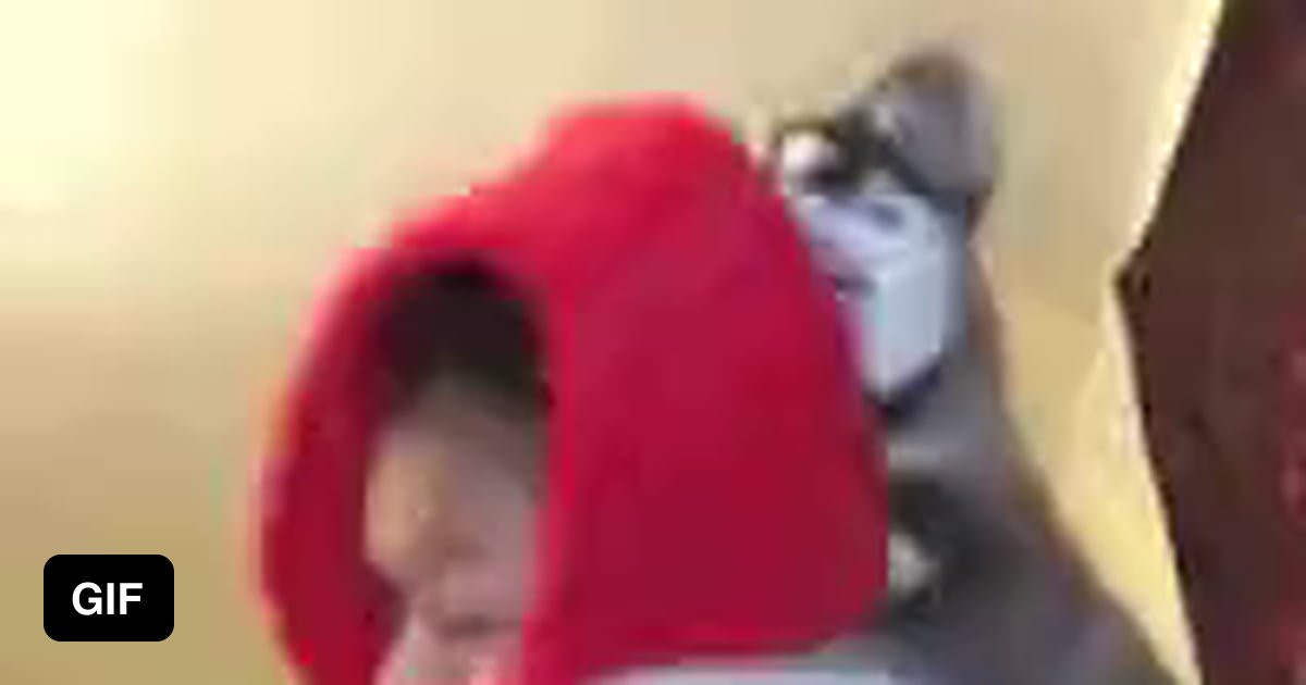 Send your best reversed gifs - 9GAG