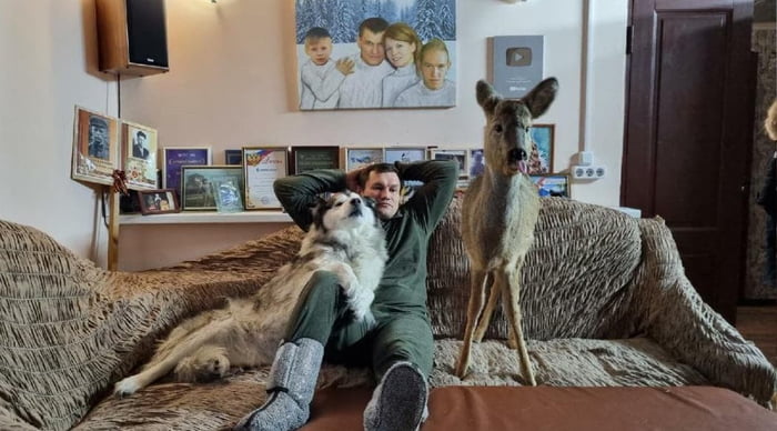 Siberian Roe Deer Derp - 9GAG