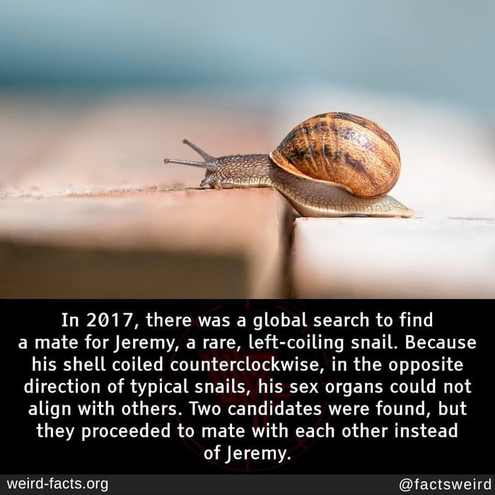 Oh no…Poor Jeremy - 9GAG