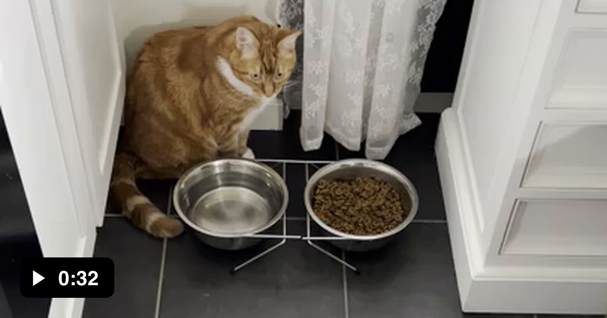 Floor dust - Mmmm… much better! - 9GAG