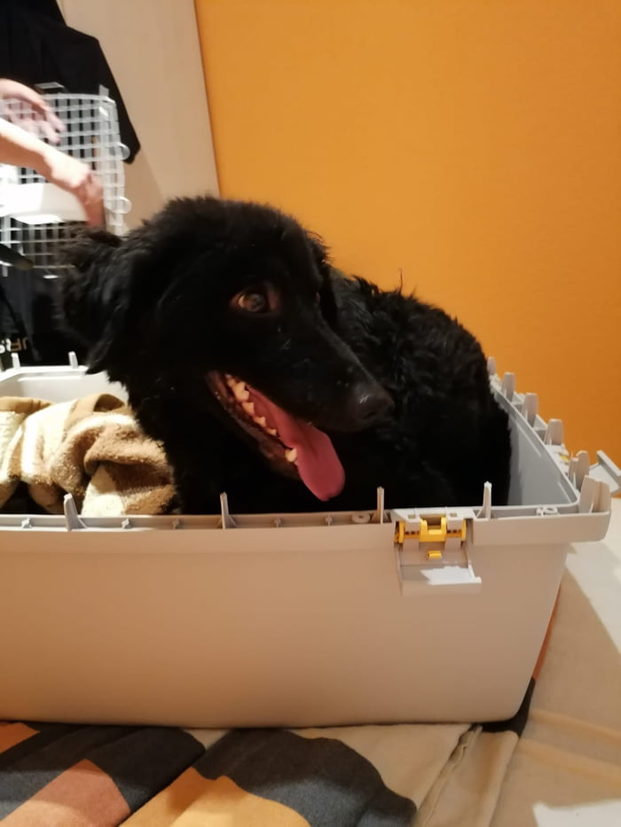 She sat there for hours and was too afraid too leave her box after ...