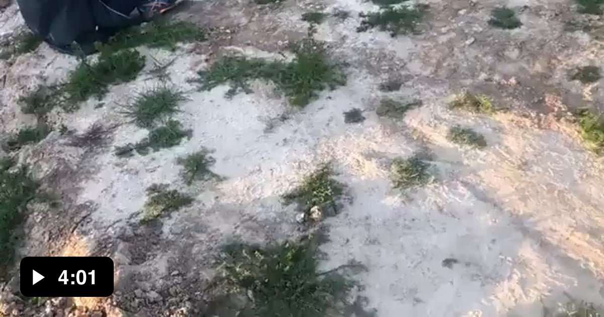 The Sax Tube Sound 9gag