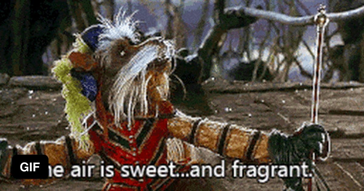 Me When My Wife Complains About Me Setting Free The Tiniest Of Farts In
