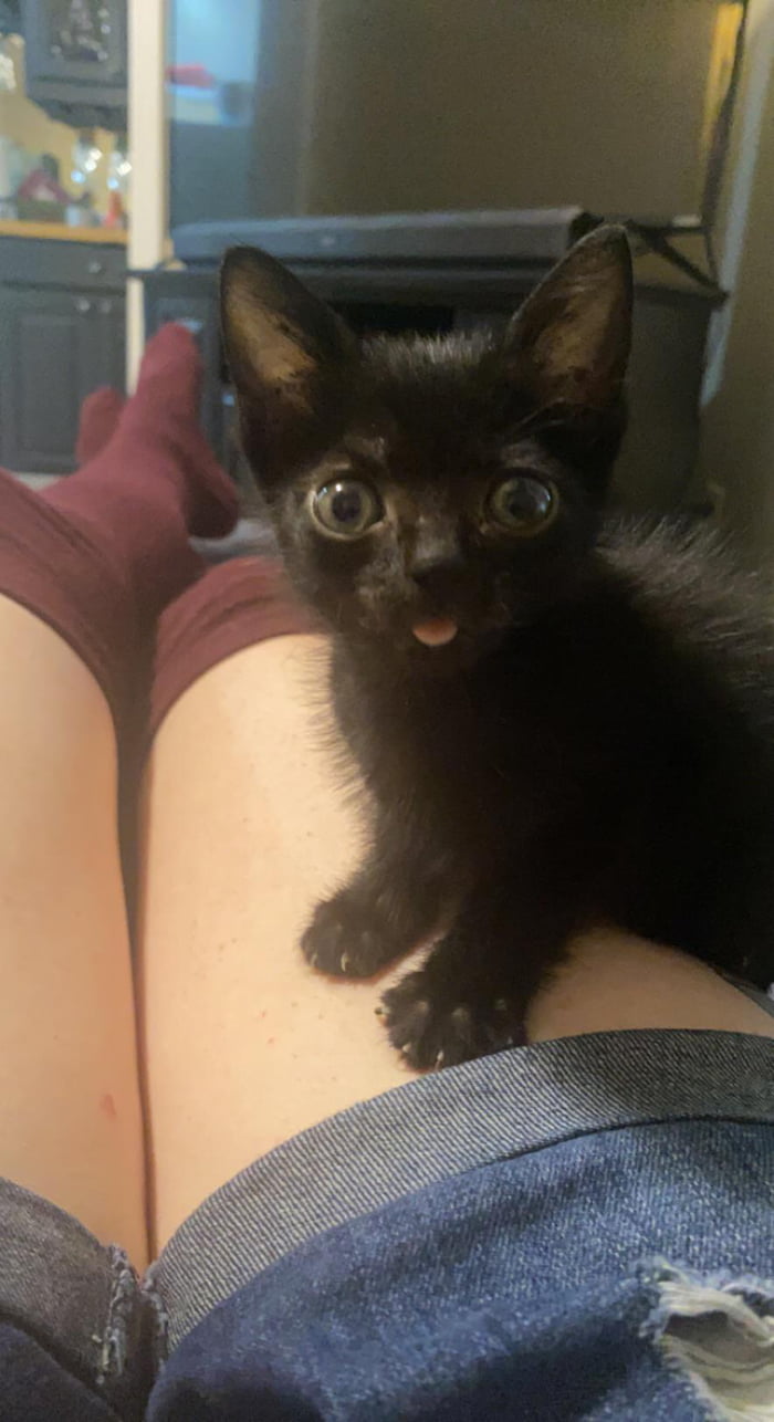 Welcome Home, little one!! Need some help picking a name for this boy - 9GAG