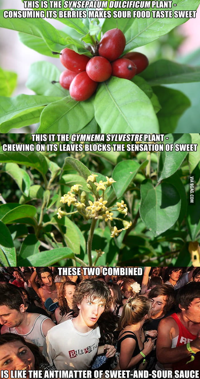 I think it's a genuine discovery. - 9GAG