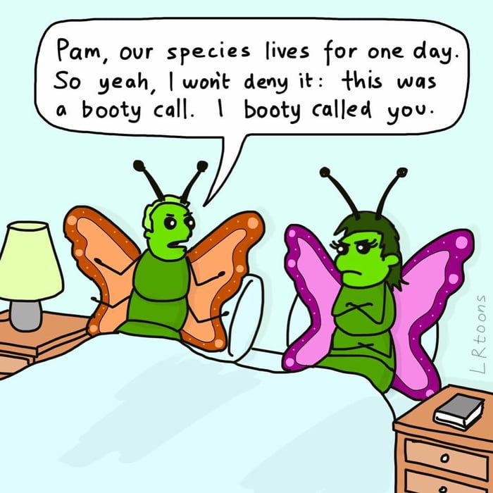 Casual insects - 9GAG