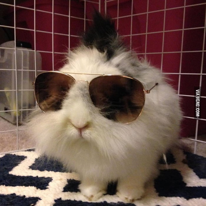 Sir, do you know how fast you were going? - 9GAG