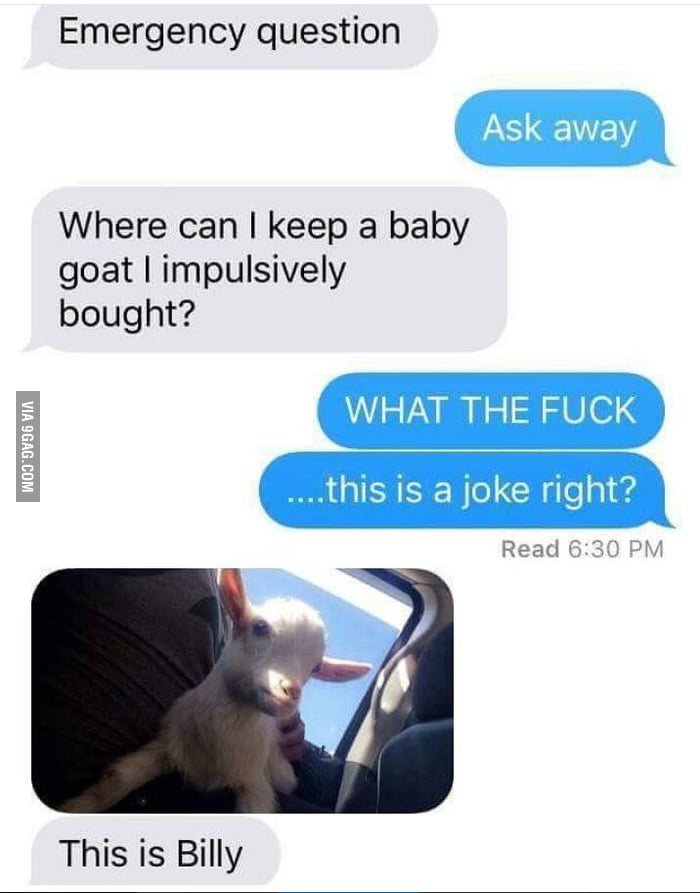 Decisions, decisions... - 9GAG