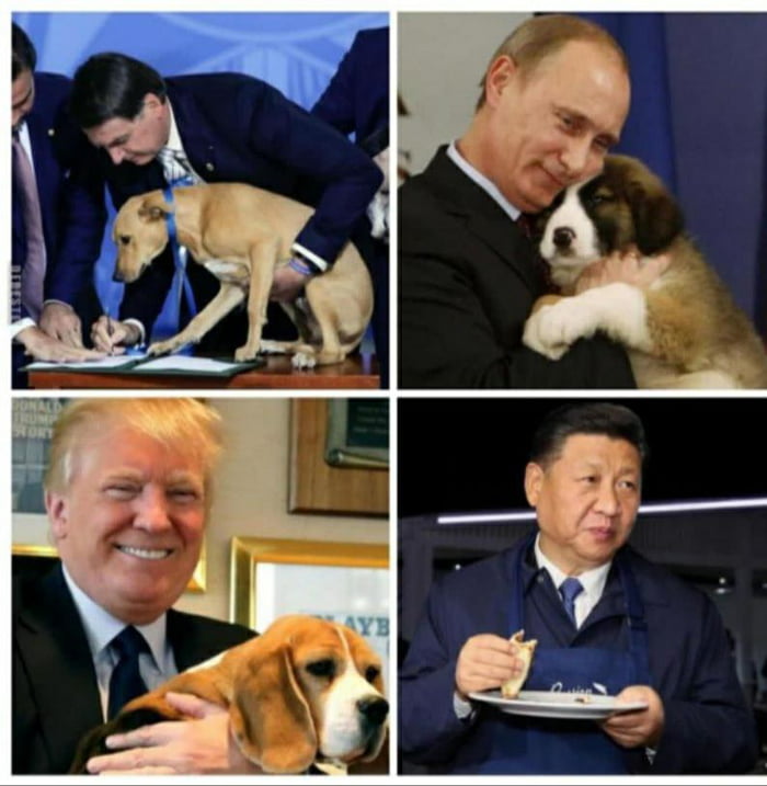 Presidents and their dogs - 9GAG