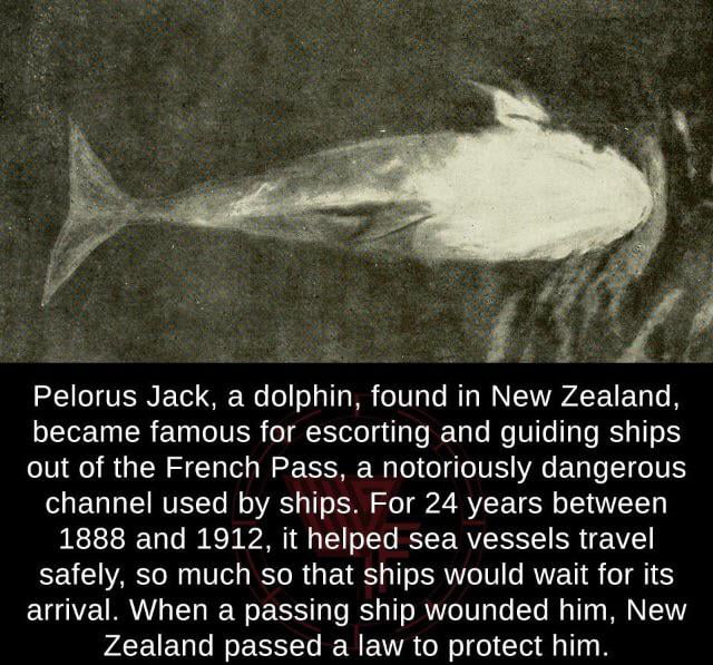 Thank you, Jack! - 9GAG