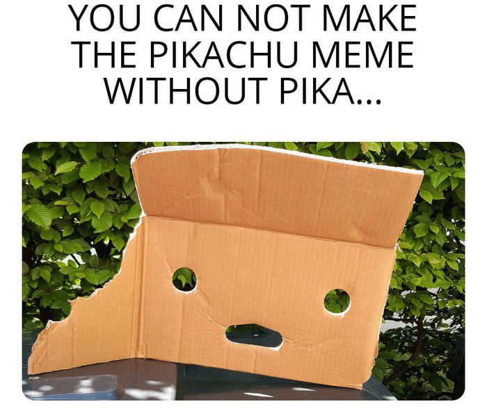 Tier 1 meme for advanced members - 9GAG