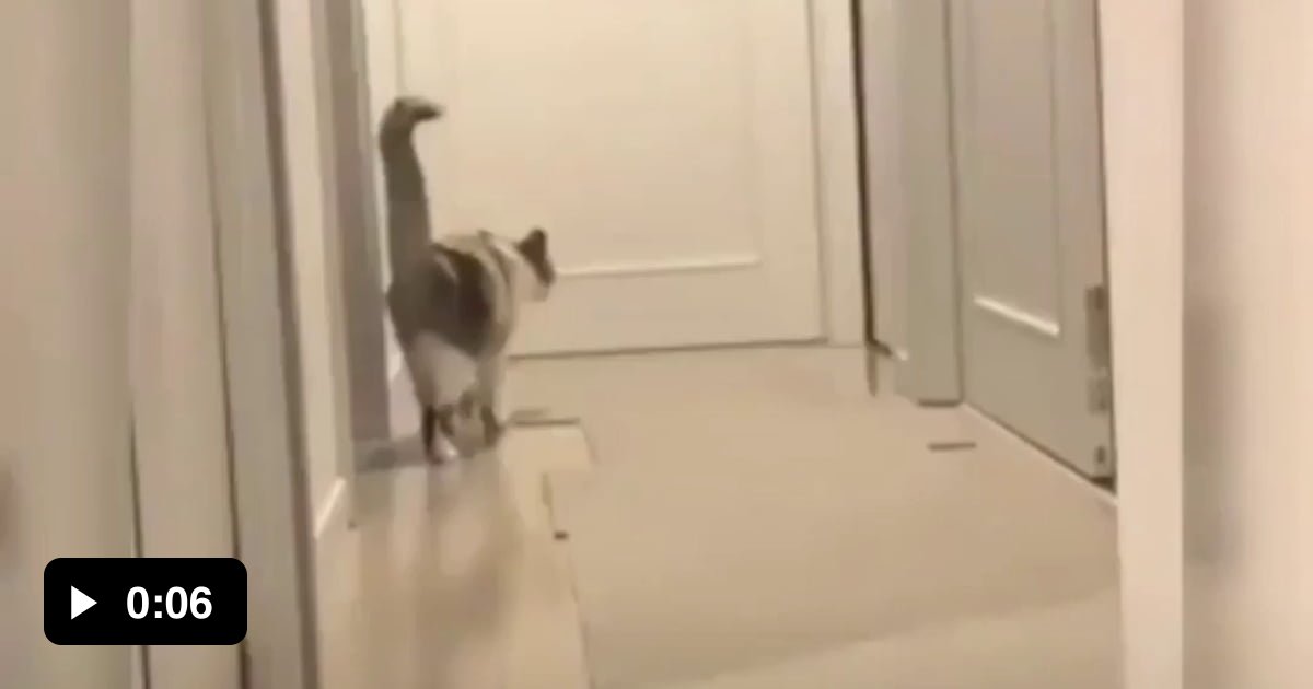 Cta flip RKO counterattack - 9GAG