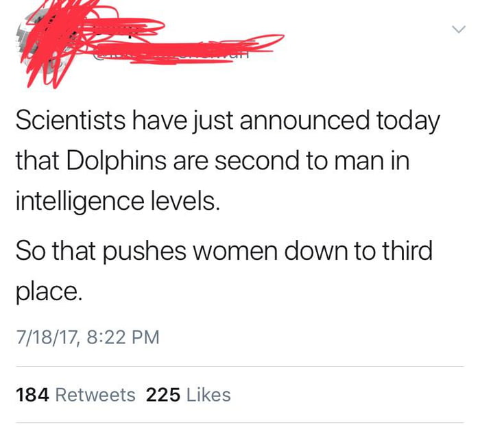 Dolphin Intelligence - 9GAG